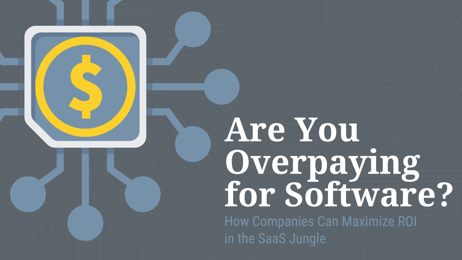 Are You Overpaying for Software? How Companies Can Maximize ROI in the ...